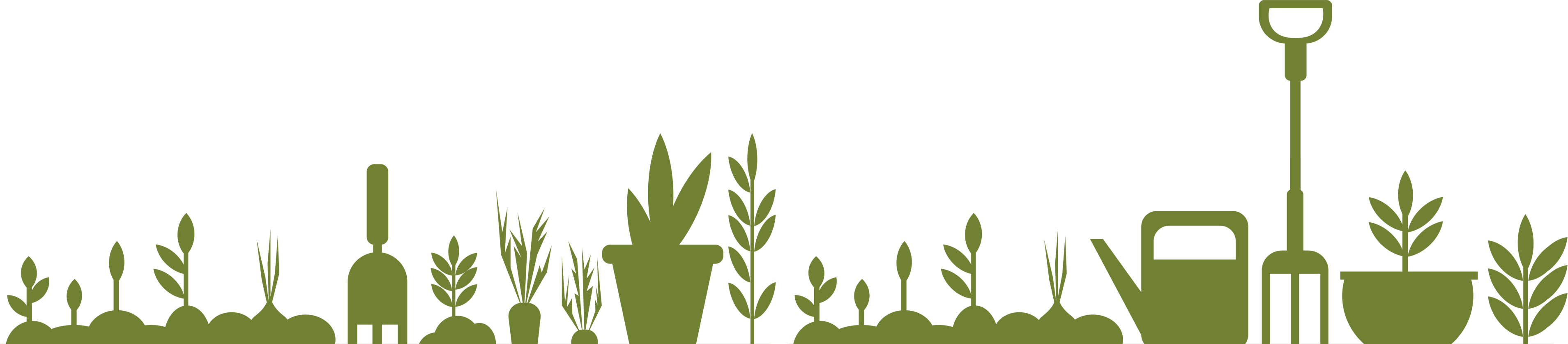 The Designer Garden Company Cairns Landscaping the-designer-garden-company-cairns-landscaping
